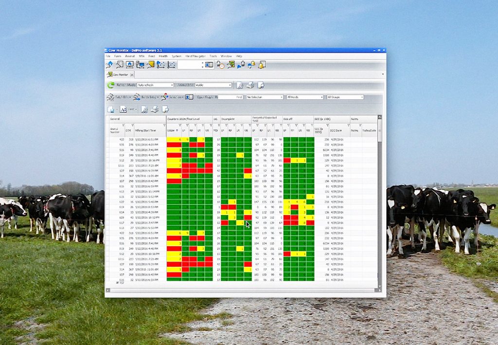 Hyper Production Score – Dominika Fojtikova